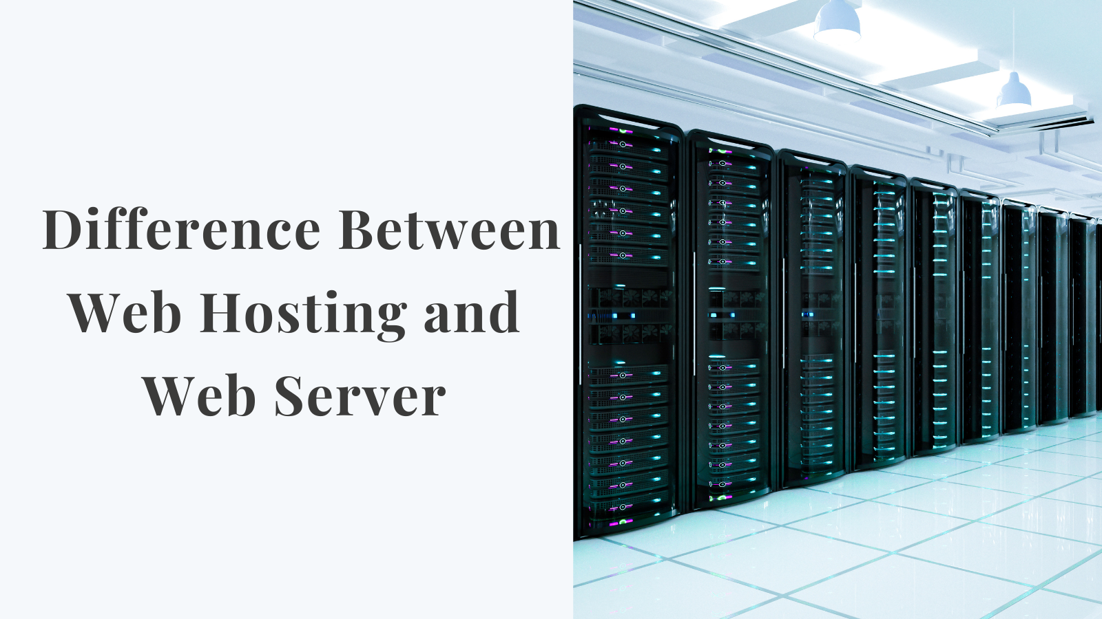 The Difference Between Web Hosting and Web Server - Hoster PK Blog